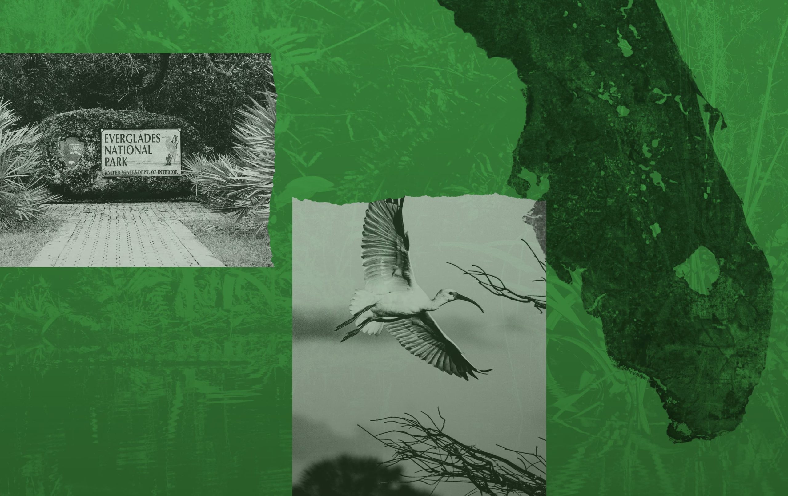 How One Inspired Woman Helped Move Florida Toward Banning Fracking