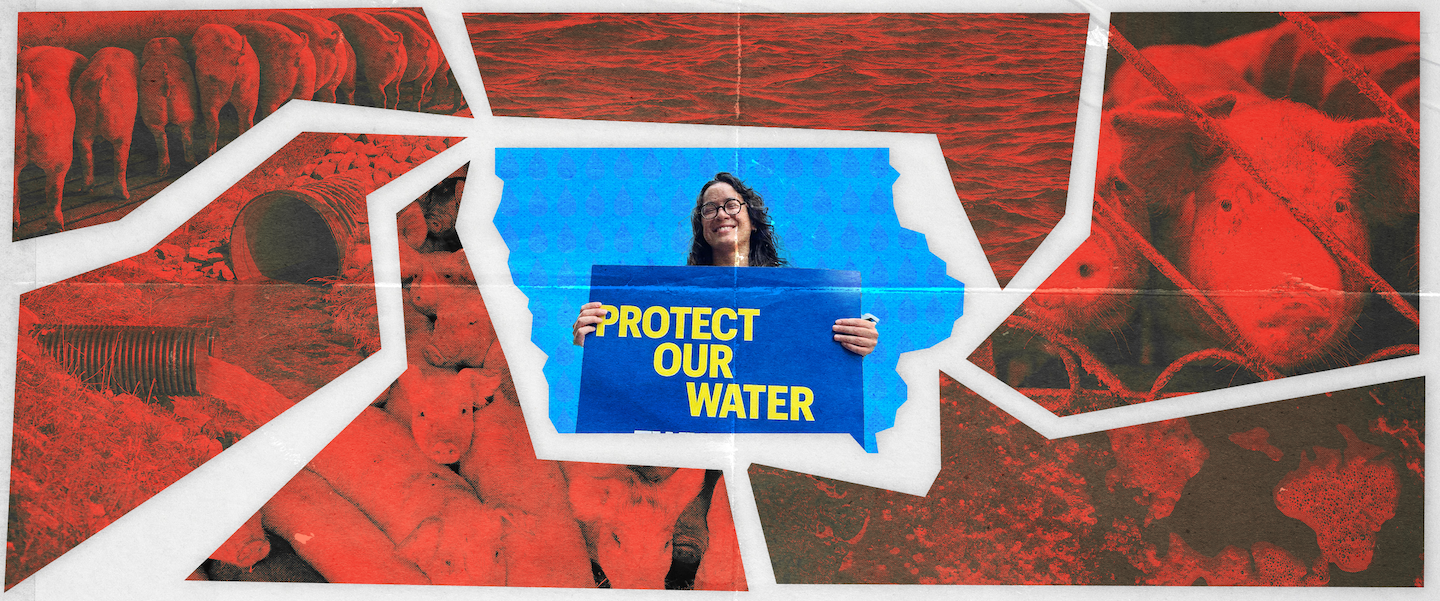 New Polling: Clean Water is a Top Priority for Iowans